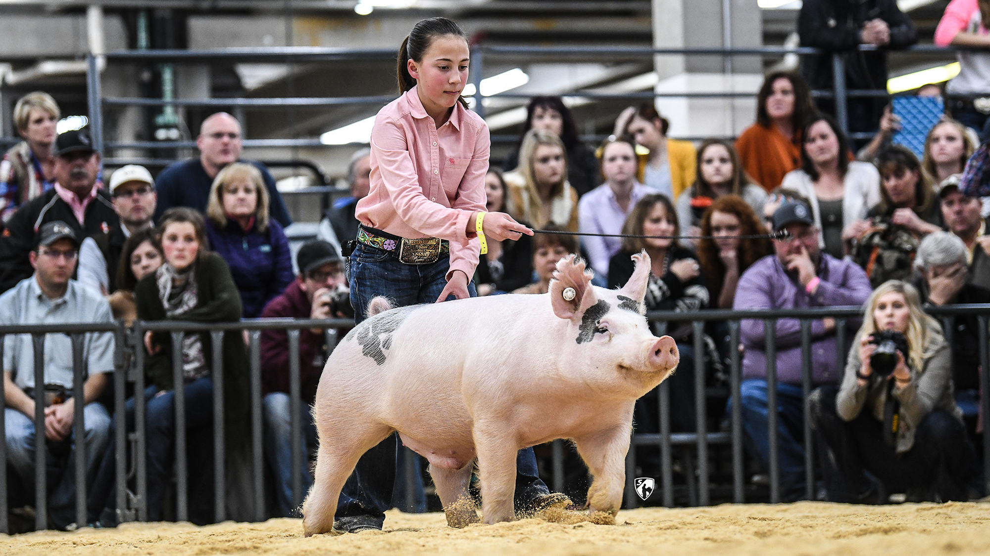 lindner_banner | Lindner Show Feeds