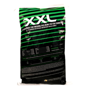 XXL | Lindner Show Feeds