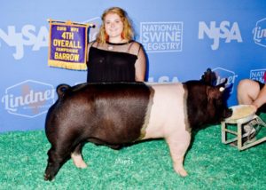 4th Overall Hampshire Barrow – Maddie Fugate | Lindner Show Feeds