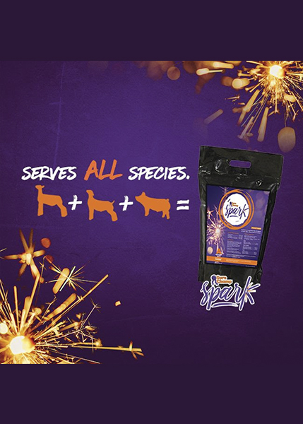 Additional Items | Lindner Show Feeds