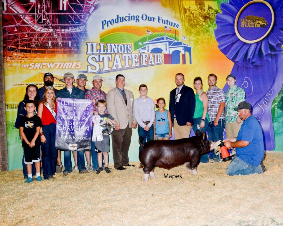 Illinois State Fair – Reserve Grand Land of Lincoln Barrow & Champion ...