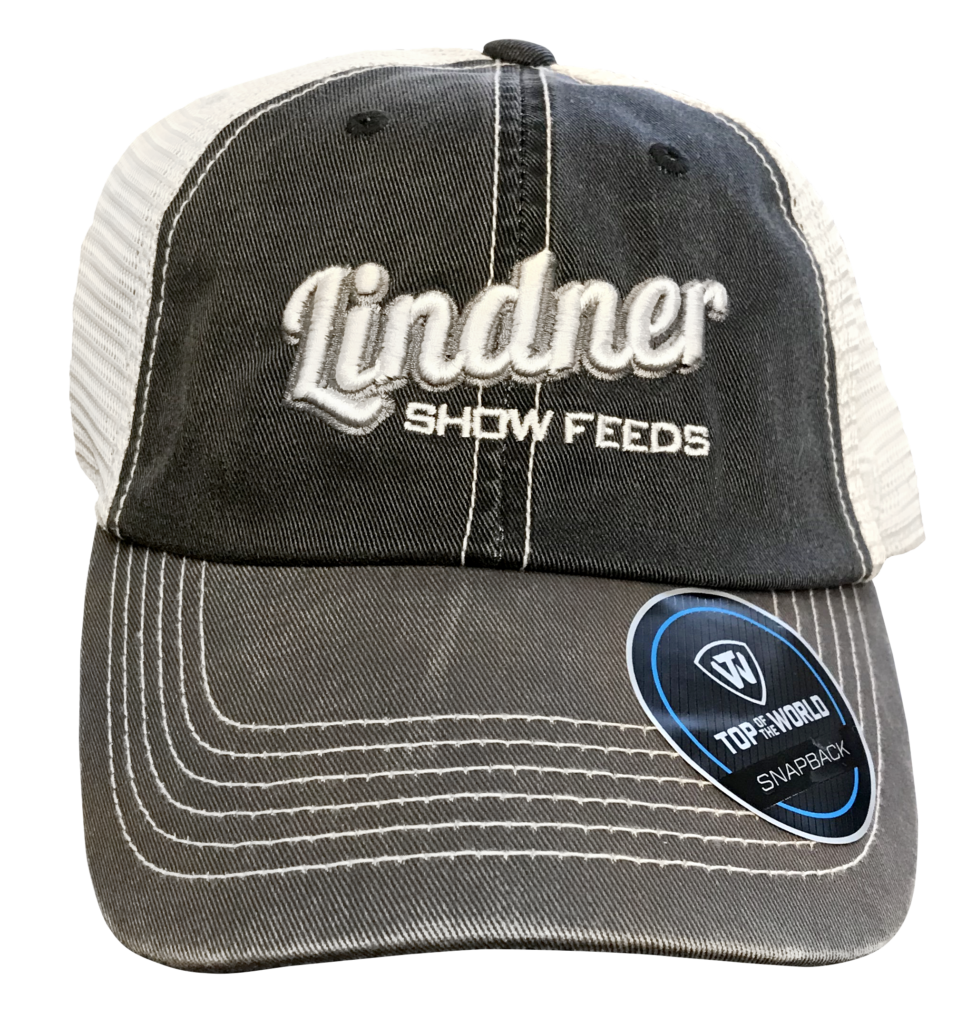 IMG_6310 | Lindner Show Feeds