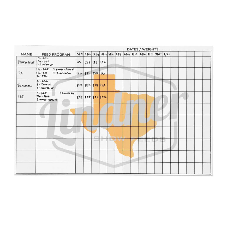 Lindner_Feed Board | Lindner Show Feeds