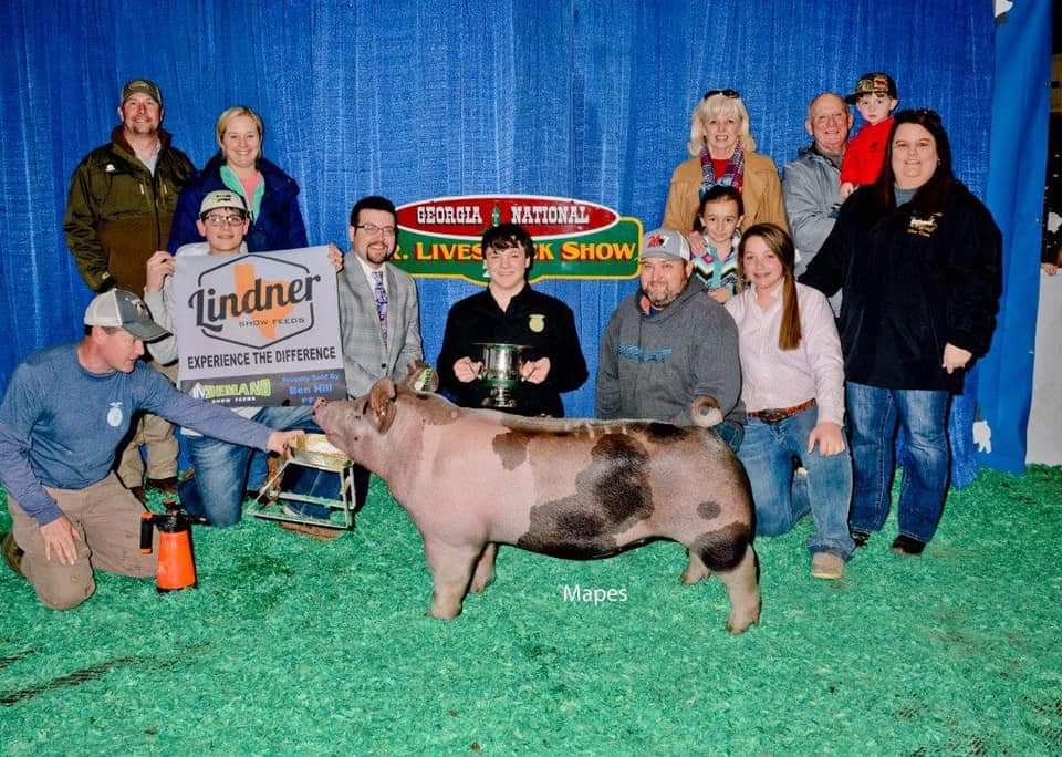 BROCK WEAVER Grand Champion Barrow Georgia National | Lindner Show Feeds