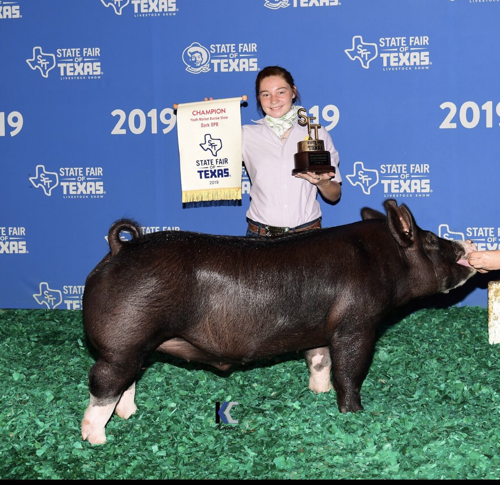 Champion Berk Barrow 2019 Dallas Jayce Morgan | Lindner Show Feeds