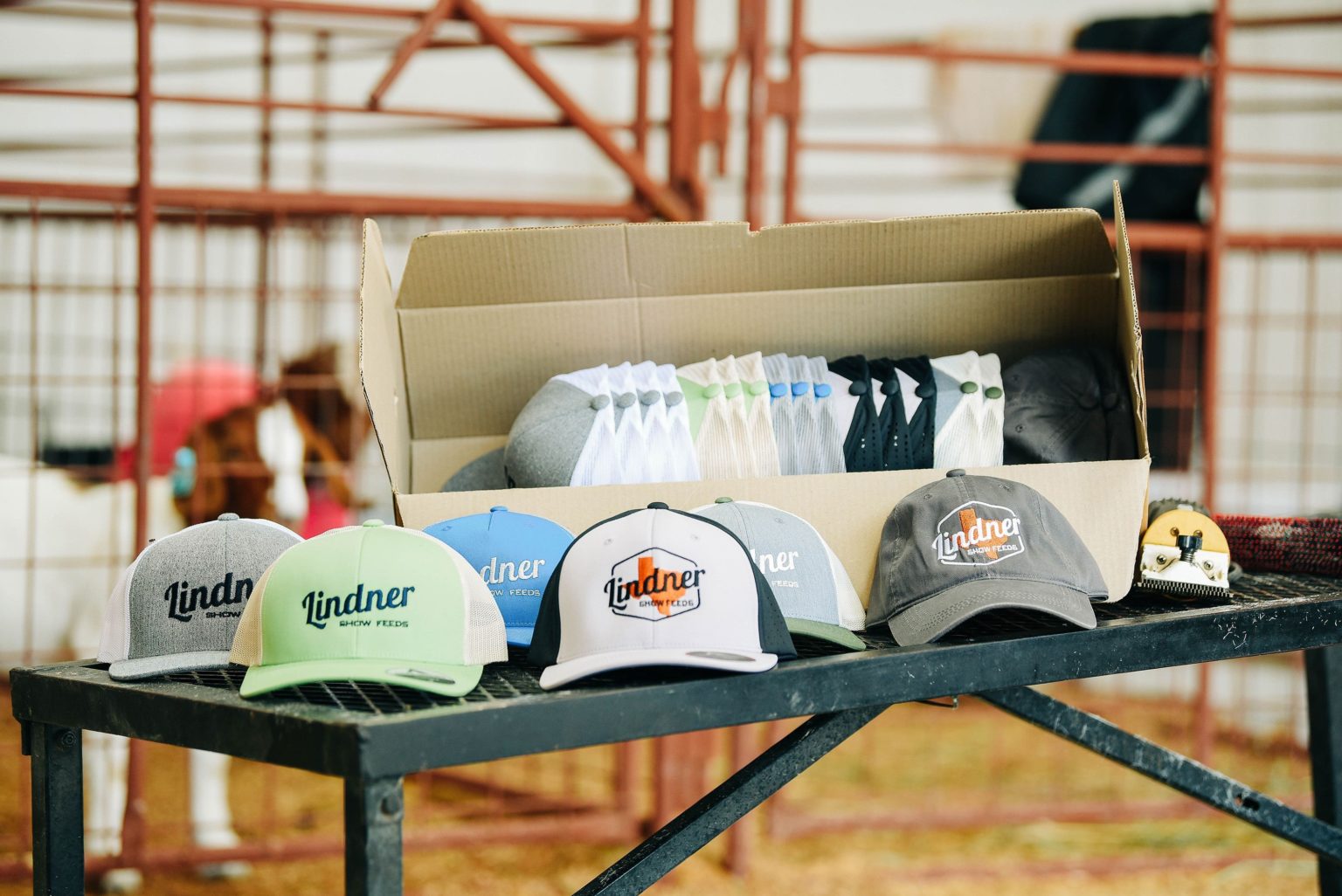 Shop | Lindner Show Feeds