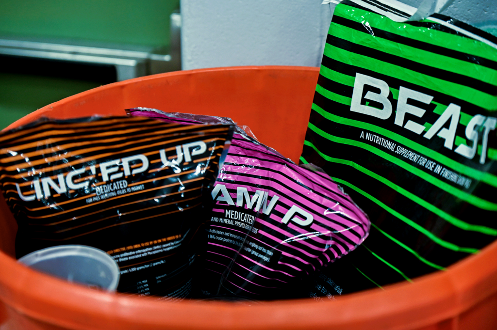 bags | Lindner Show Feeds