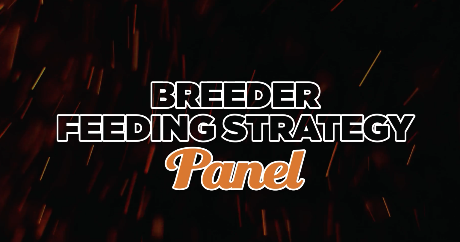 Feeding Tools | Lindner Show Feeds